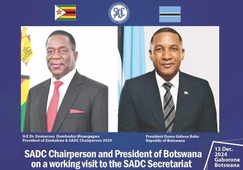 His Excellency Dr. Emmerson Dambudzo Mnangagwa - President of the Republic of Zimbabwe and ...